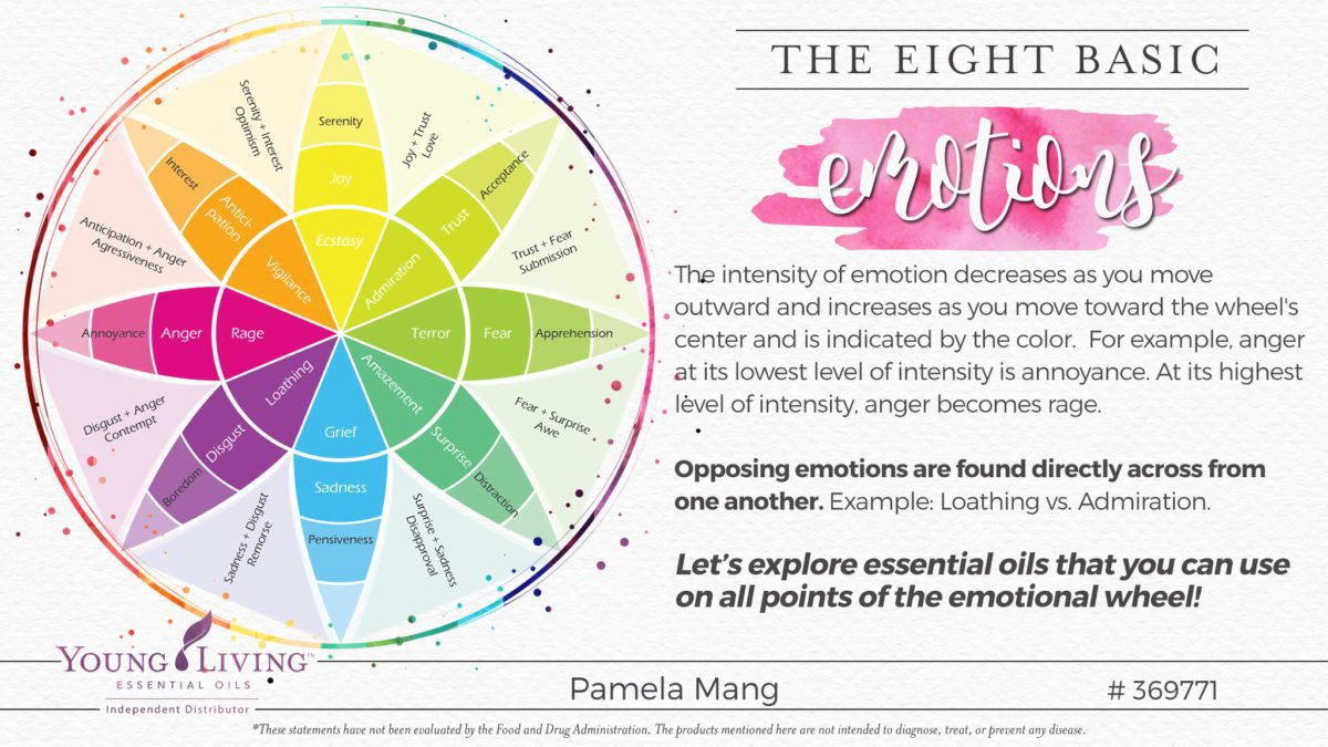 8 Basic Emotions | Grace Full Living